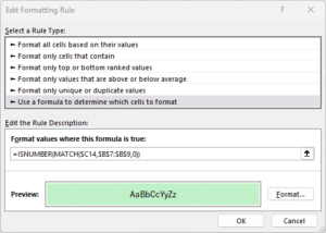 Format Items Found in a List - Excel University